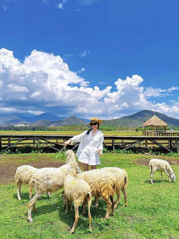 Nha Trang Ninh Thuan: Coral Coast, Grape Gardens, Suoi Tien - Why This Tour Works for Travelers