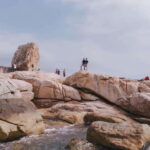 Nha Trang Premium City Tour (half day, small group) - Practical Details & How It Works