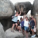 Nha Trang Private Cultural City Tour by car - What’s Included & Whats Not