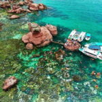 Nha Trang Scuba Diving Tour With Coral Reef & Luxury Lunch - Is It Worth the Price?