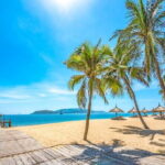 Nha Trang Shore Excursions from Cau Da Port - Final Thoughts: Who Is This Tour Best For?