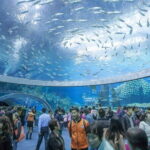 Nha Trang Top Attractions and Hidden Gems Adventure - Details That Matter: Transportation, Group Dynamics, and Cost