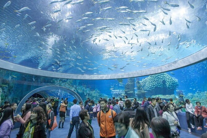 Nha Trang Top Attractions and Hidden Gems Adventure - Details That Matter: Transportation, Group Dynamics, and Cost