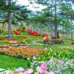 Nha Trang: Top Site Must Visit Da Lat City Trip - Value and Practical Tips