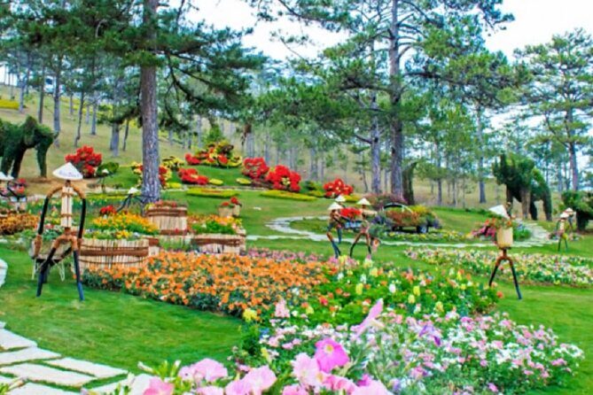 Nha Trang: Top Site Must Visit Da Lat City Trip - Value and Practical Tips