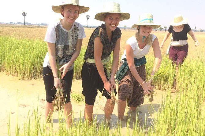 NhumBai, The Village Experience - The Value of Meal Inclusion