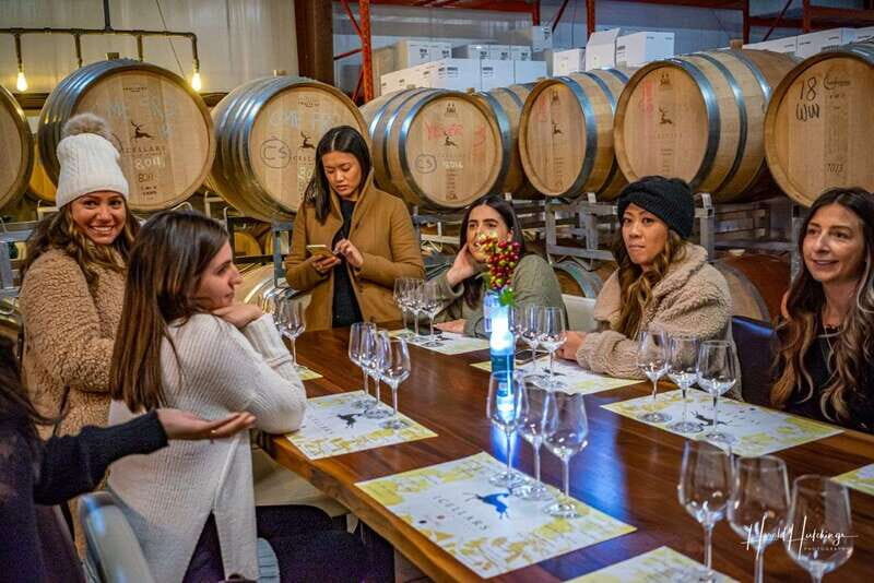 Niagara Falls, Canada: Escarpment Boutique Wine Tour - What to Expect in Terms of Practicalities