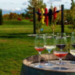 Niagara Falls: Small Group Tour with Wine Tasting and Cruise - What Travelers Say