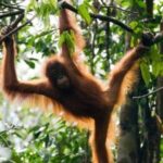 Night Frogs Tour at Kubah National Park - Who Will Love This Tour?