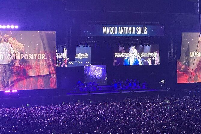 Night of VIP Concert in Mexico City with Private Transfer - Practical Tips for Making the Most of Your VIP Night