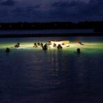 Night Snorkeling Experience in Mirissa - Why You’ll Love Night Snorkeling in Mirissa