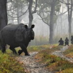 Night Stay in Chitwan National Park, 2 Nights 3 Days Package - The Experience Provider and Booking