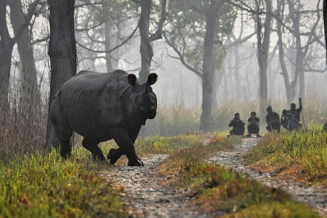 Night Stay in Chitwan National Park, 2 Nights 3 Days Package - The Experience Provider and Booking