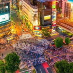 Night Tour Tokyo in Shinjuku - Analyzing the Itinerary: Whats Included and Whats Not