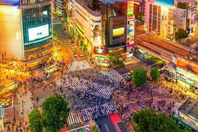 Night Tour Tokyo in Shinjuku - Analyzing the Itinerary: Whats Included and Whats Not