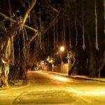 Night Walk Tour Pune - What’s included and what’s not