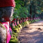 Nikko Day Tour Private with English Speaking Driver - Practical Insights on the Tour