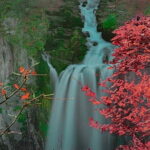 Nikko Full Day Customize Private tour - Transportation and Overall Experience