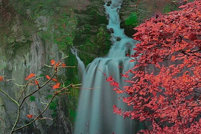 Nikko Full Day Customize Private tour - Transportation and Overall Experience