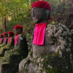 Nikko Full day private experience with English speaking Driver - Who Will Love This Tour?