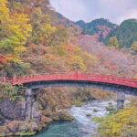 Nikko Private Day Tour by Car with Pick up from Tokyo - Final Thoughts
