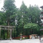 Nikko Private Tour by Car with English Speaking Chauffeur - What Travelers Say and Why It Matters