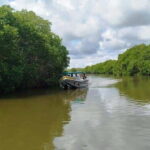 Nilaveli: Lagoon Boat Safari with Mangrove Exploration - Exploring the Lagoon: What to Expect
