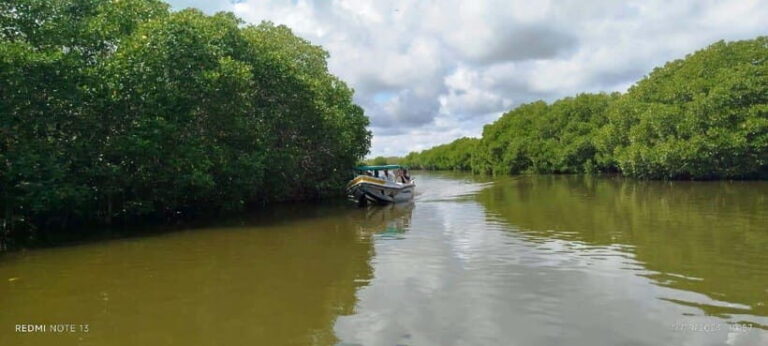 Nilaveli: Lagoon Boat Safari with Mangrove Exploration - Exploring the Lagoon: What to Expect
