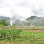 Ninh Binh Daily Tour All-Inclusive Bus, Guide, Lunch & Activities - Who Will Enjoy This Tour?