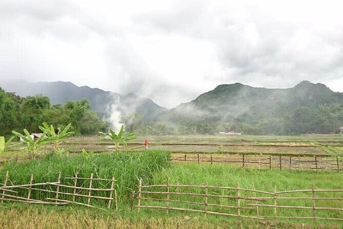 Ninh Binh Daily Tour All-Inclusive Bus, Guide, Lunch & Activities - Who Will Enjoy This Tour?