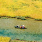 Ninh Binh Day Trip: Hoa Lu, Tam Coc & Mua Cave VIP 9-Seater - What Makes This Tour Stand Out