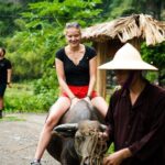 Ninh Binh eco group tour - Buffalo riding, rice planting, fishing - The Landscape and Cultural Highlights