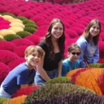 Ninh Binh From Hanoi Via Incense Village Small Group of 9 - Whats Included and Whats Not?