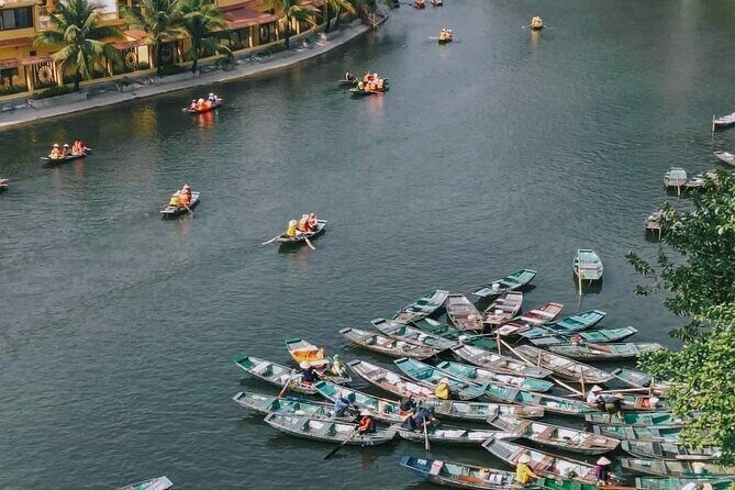 Ninh Binh Full-Day Tour from Hanoi: Hoa Lu, Tam Coc, Mua Caves - What Travelers Say About This Tour