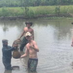 Ninh Binh Jeep Tour One Day - Pick up at Ninh Binh - Thai Vi Temple: A Walk into History