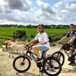 Ninh Binh Luxury Tour: Bich Dong Pagoda, Local Family, Trang An - Considerations for Travelers