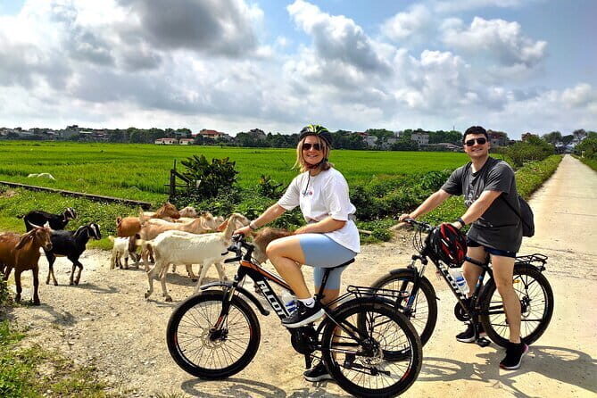 Ninh Binh Luxury Tour: Bich Dong Pagoda, Local Family, Trang An - Considerations for Travelers