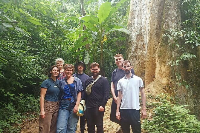 Ninh Binh One Day Cuc Phuong National Park Small Group Tour - The Experience from a Traveler’s Perspective