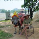 Ninh Binh One Day Trips- from Hanoi - Authentic Experiences and Traveler Feedback