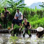 Ninh Binh: Rice planting and fishing by basket tour - The Sum Up