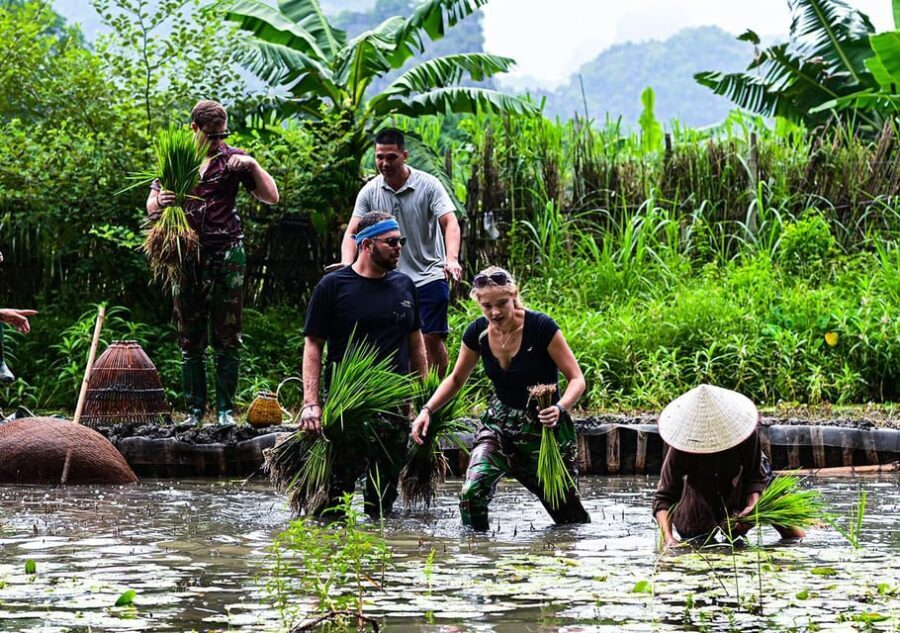 Ninh Binh: Rice planting and fishing by basket tour - The Sum Up