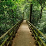 Ninh Binh Thung Nham, Cuc Phuong National Park 2 Day Tour - Day 2: Ecological and Wildlife Encounters