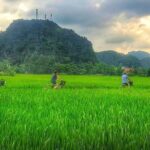 Ninh Binh Tour: Deluxe & Small Group Tam Coc Hoa Lu - Boat, Biking, Buffet Lunch - What Could Be a Drawback