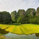 Ninh Binh Tour: Full-Day Hoa Lu and Tam Coc Boat Tour - What Makes This Tour Stand Out?