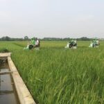 Ninh Binh Vespa Start from Hanoi + Boat + Villages +Rice Paddies - Real Traveler Highlights & Authentic Experiences