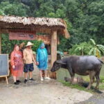 Ninh Binh:Motorbike Tour Countryside Visit and Cooking Class - What to Expect from the Day