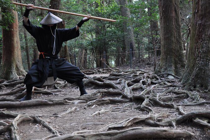 Ninja Trekking half-day tour at Mt.Daimonji Kyoto - Itinerary Breakdown: What to Expect