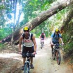 No.1 Chiang Mai: Advanced XC Downhill Biking, Doi Suthep N. Park - Scenic Highlights and Key Stops