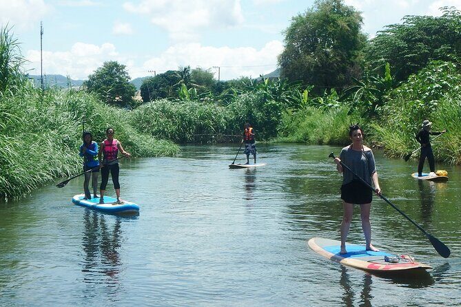 No.1 Chiang Mai: Stand Up Paddle Board through Mae Taeng Forest - Highlights and Unique Aspects