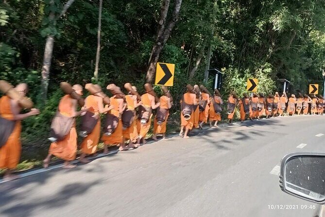 "No.1 Chiang Mai: Suthep N. Park Leisure walks & Mountain Biking" - The Practical Side: Transportation, Duration & Group Size